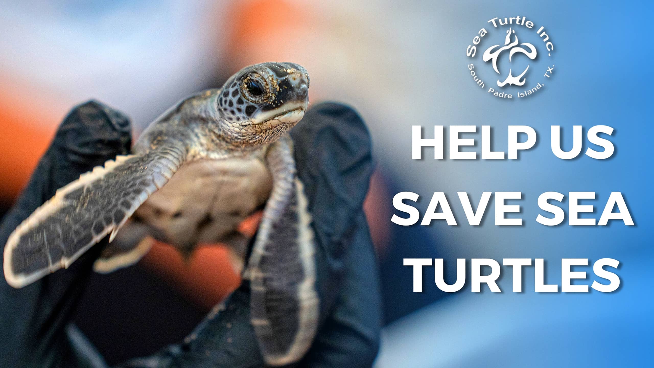 Animal Welfare | Defender Service Awards | Land Rover Canada